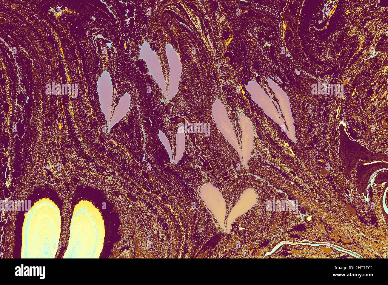 Oily wallpaper with multiple heart-shaped stains in violet background ...