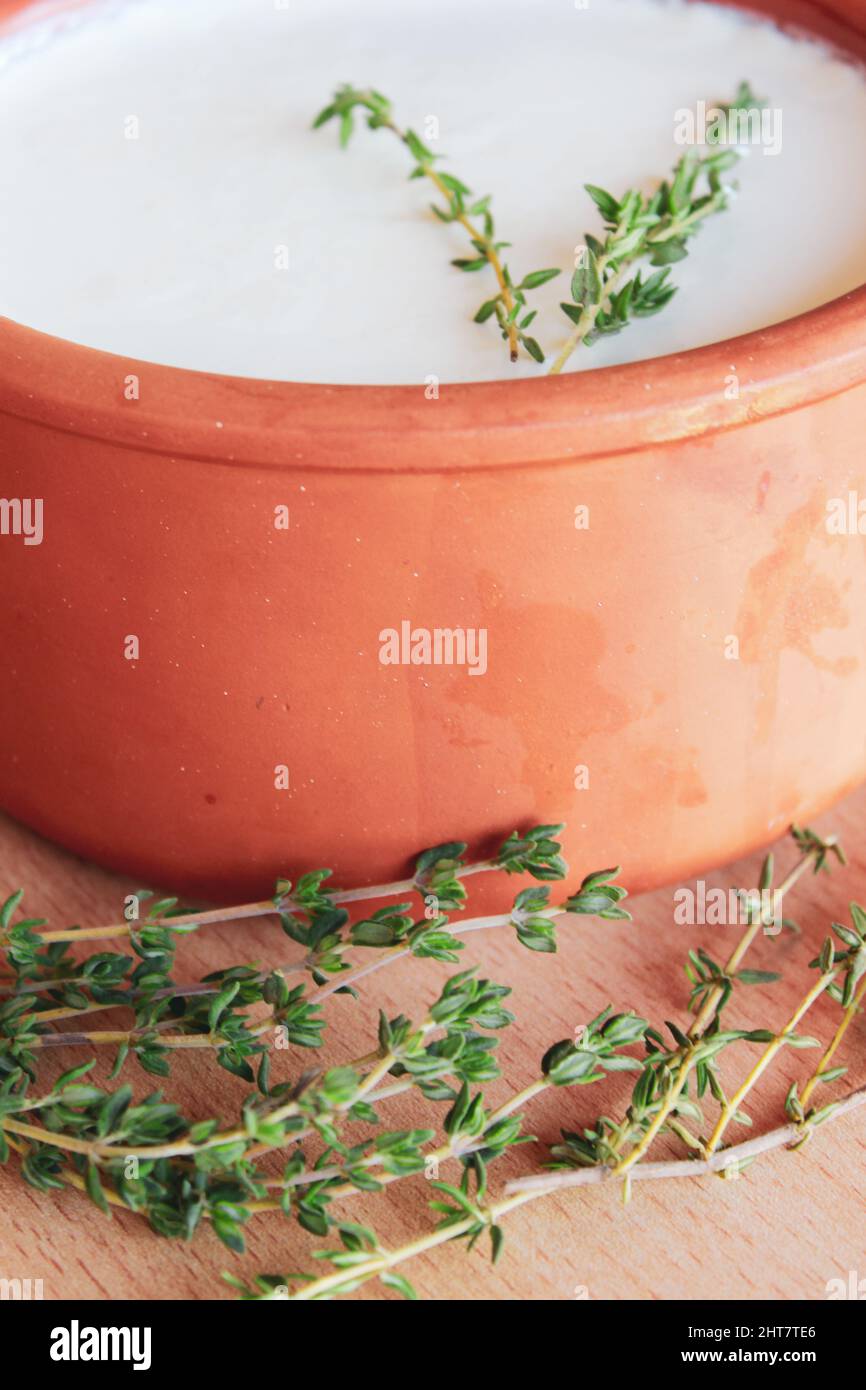 Fresh organic homemade yogurt and fresh mint. Traditional yogurt ...