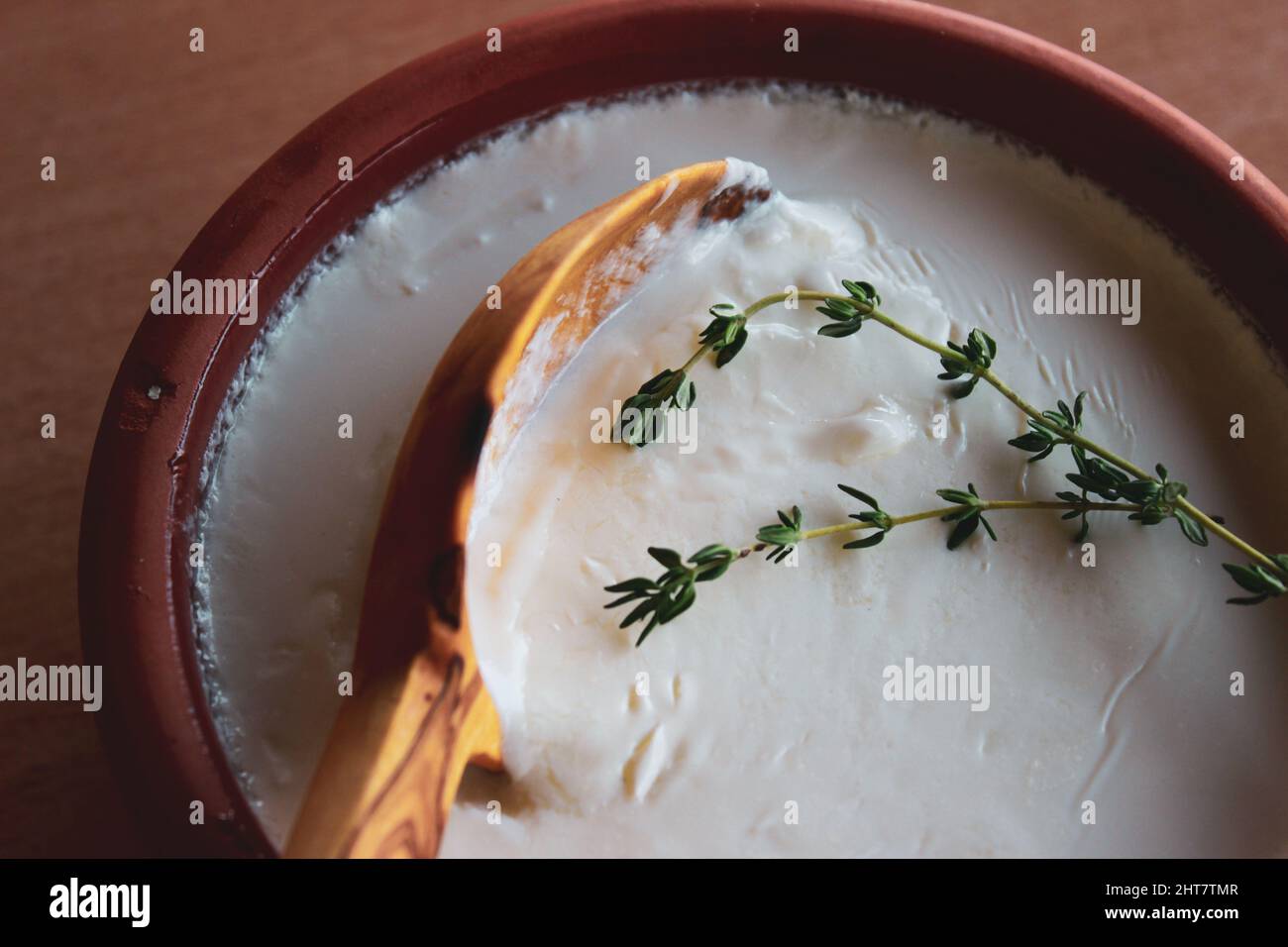 Fresh organic homemade yogurt and fresh mint. Traditional yogurt ...
