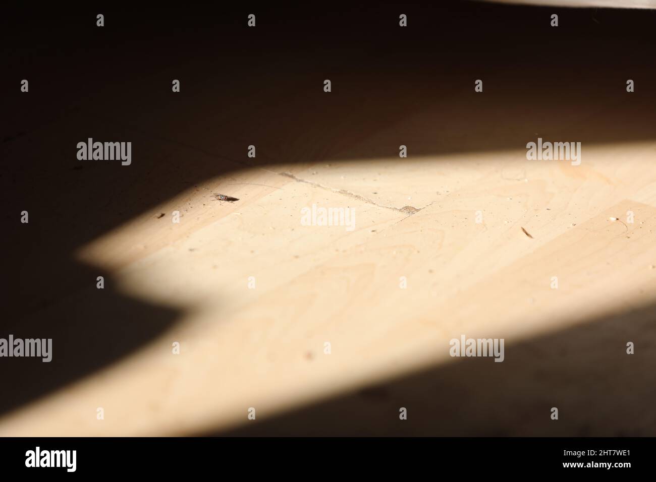 Beautiful bengal cat looking at camera High quality Stock Photo - Alamy