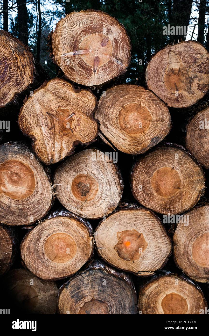 Ready to mill hi-res stock photography and images - Alamy