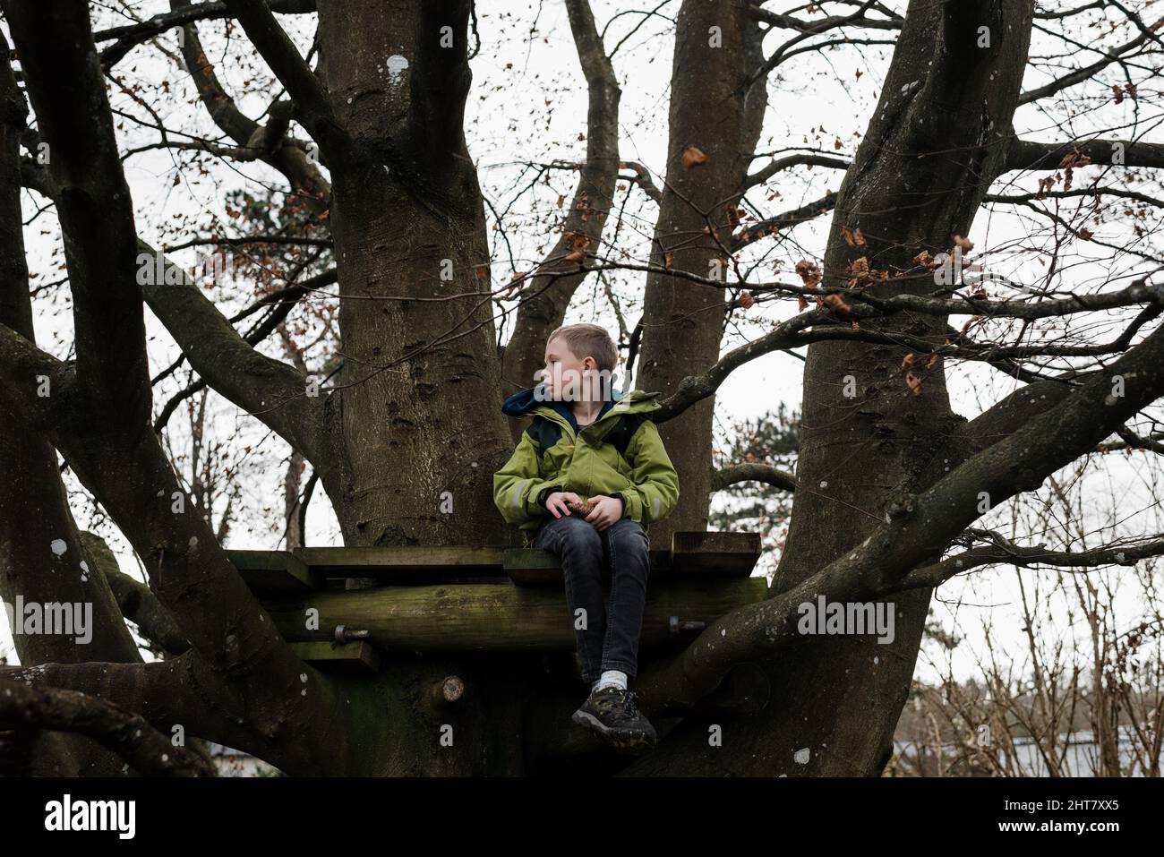 boy sitting in a tree house in a large tree thinking Stock Photo - Alamy