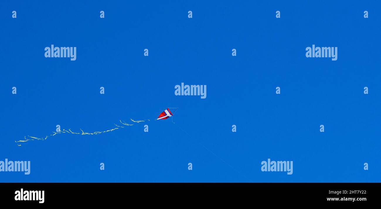 Low angle shot of a kite Stock Photo - Alamy