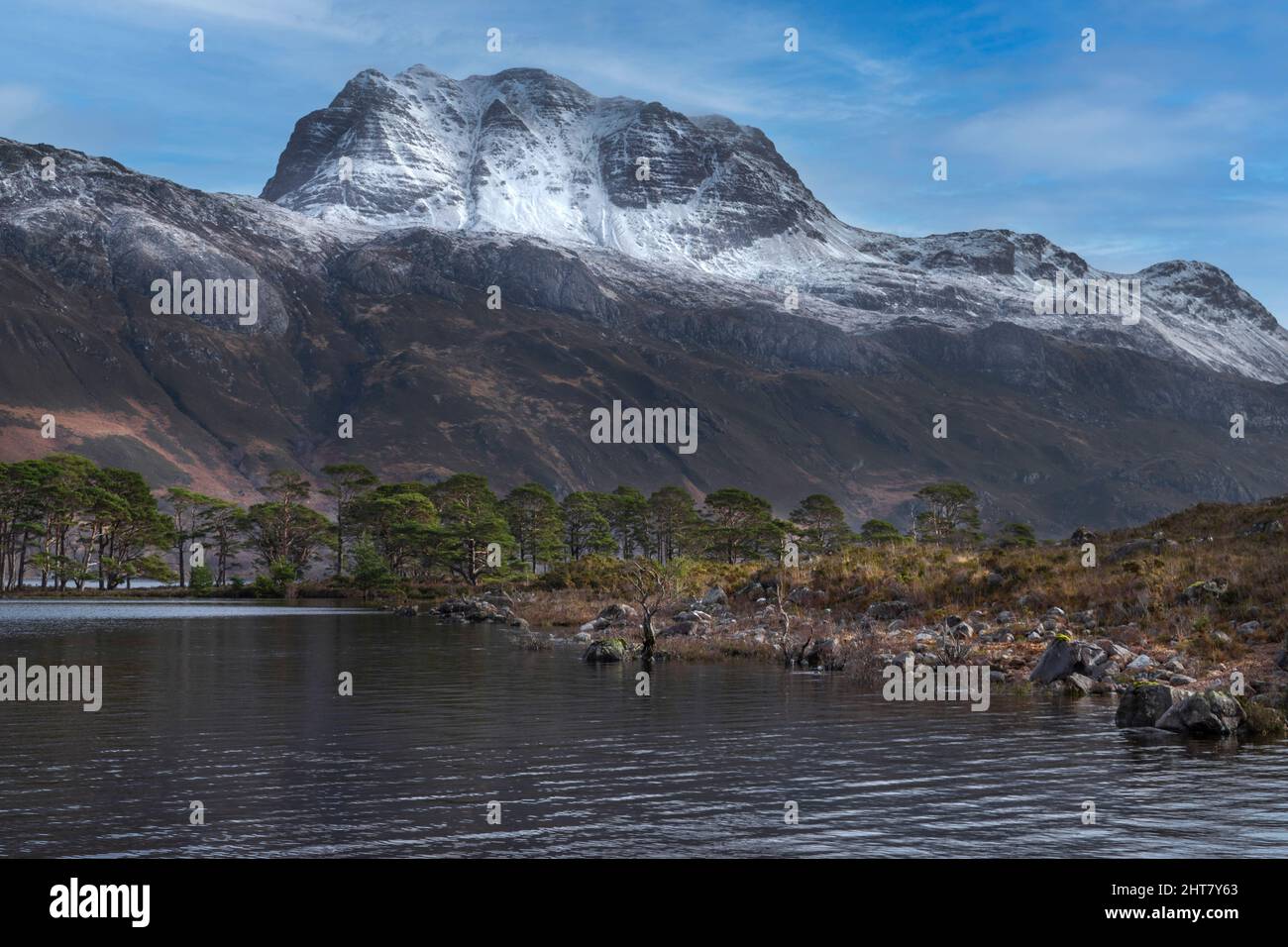 SLIOCH MOUNTAIN LOCH MAREE KINLOCHEWE SCOTLAND CALEDONIAN PINE TREES ...