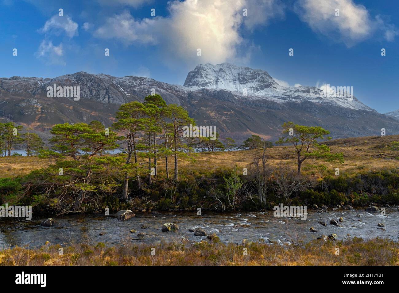 SLIOCH MOUNTAIN LOCH MAREE KINLOCHEWE SCOTLAND GROUP OF CALEDONIAN PINE ...