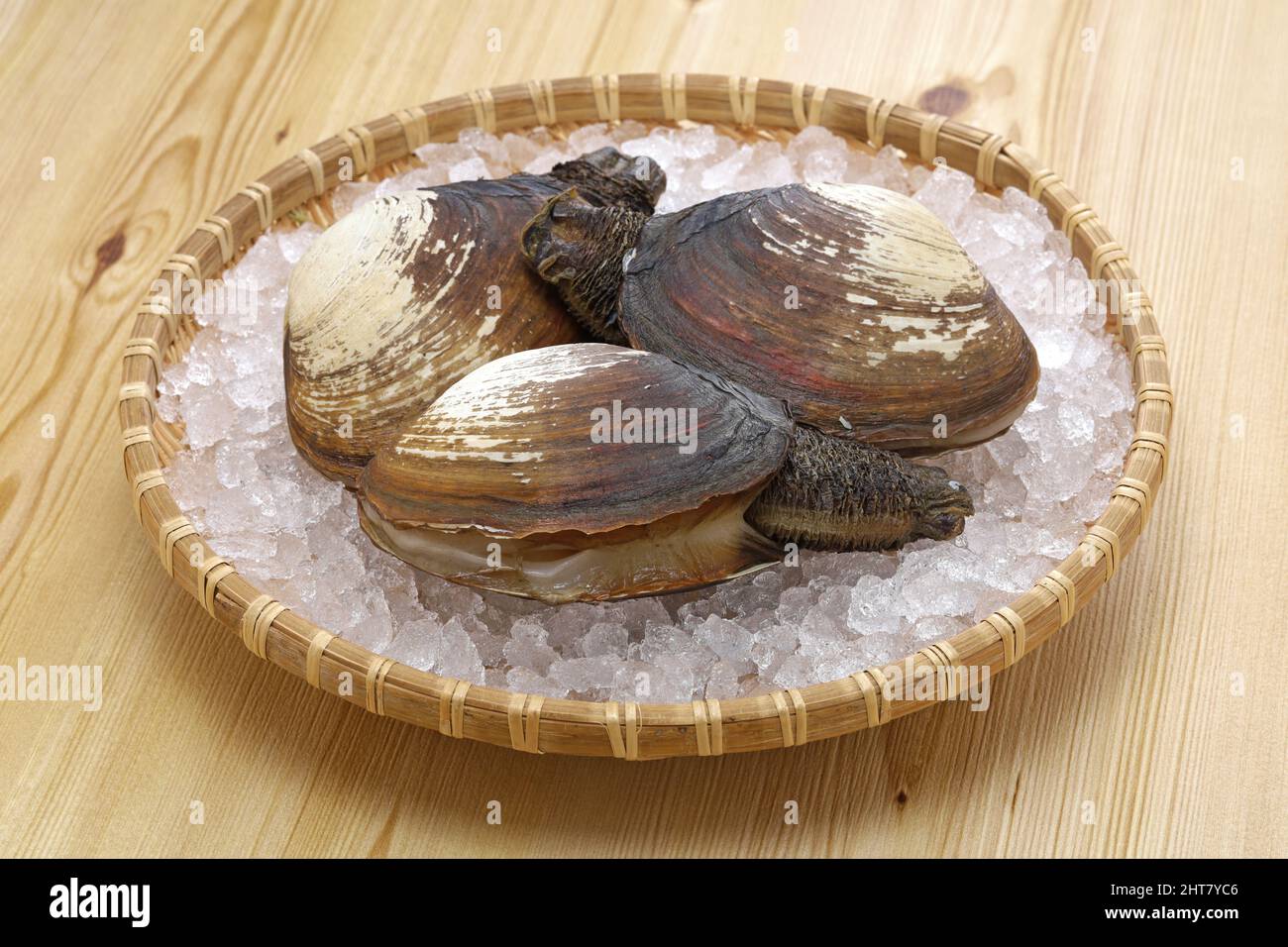 Mirugai(Japanese horse clam) is a high class ingredient used in sushi ...