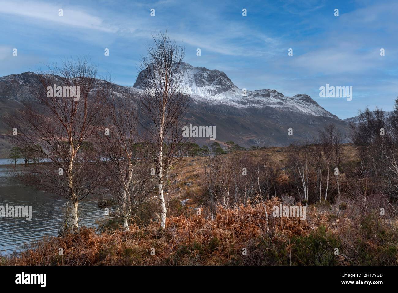 SLIOCH MOUNTAIN LOCH MAREE KINLOCHEWE SCOTLAND SILVER BIRCH TREES ...