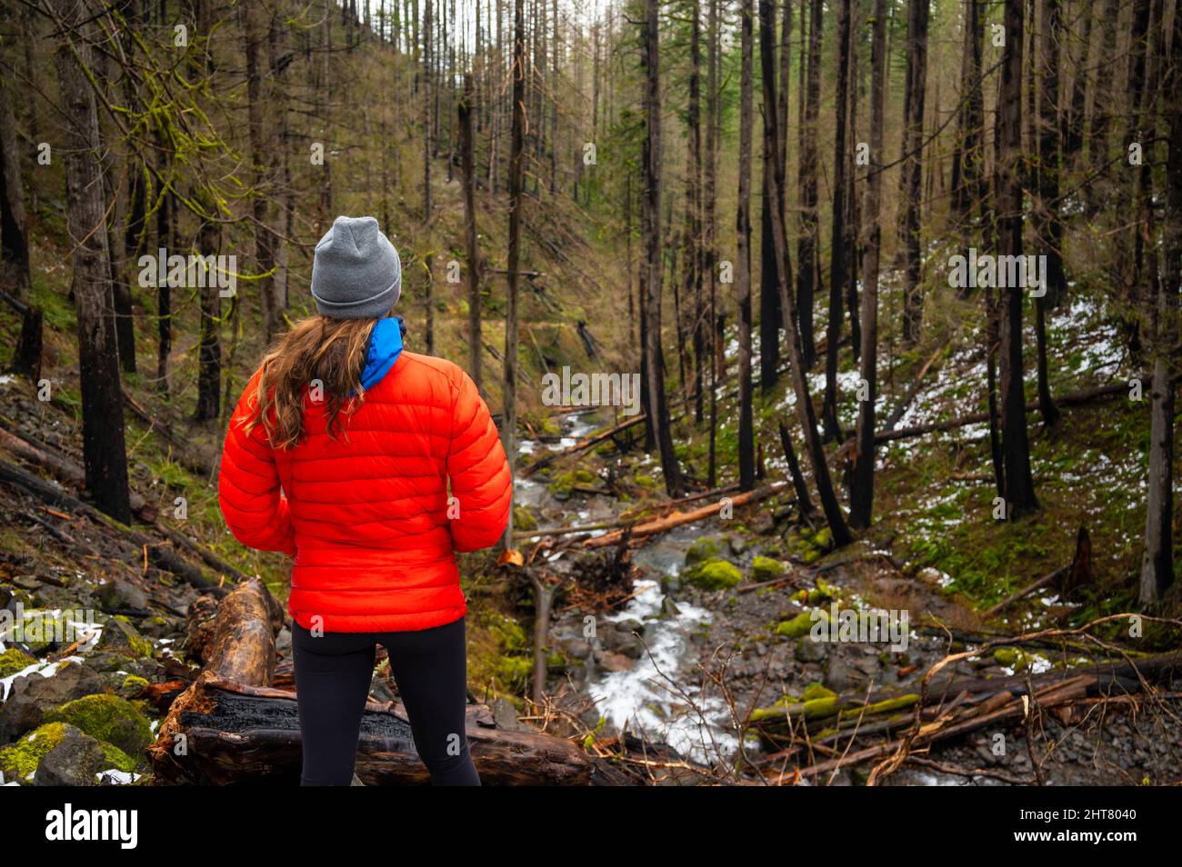 Female person hiking alone hi-res stock photography and images - Alamy