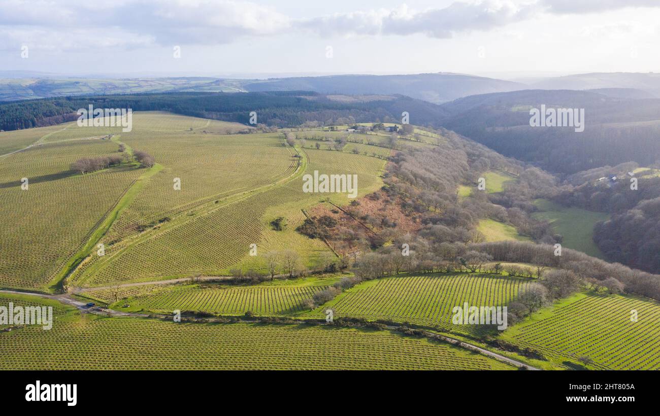 Aerial view of upland Banc farm in the Brechfa Forest prepared and ...