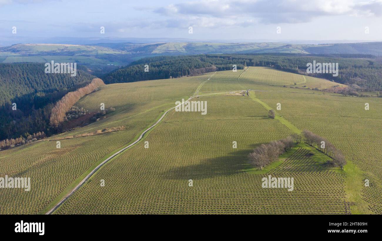 Aerial view of upland Banc farm in the Brechfa Forest prepared and ...