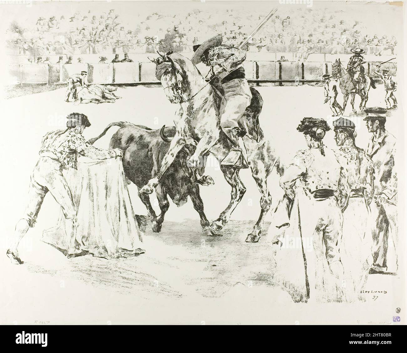 Bull fighter horse hi-res stock photography and images - Alamy