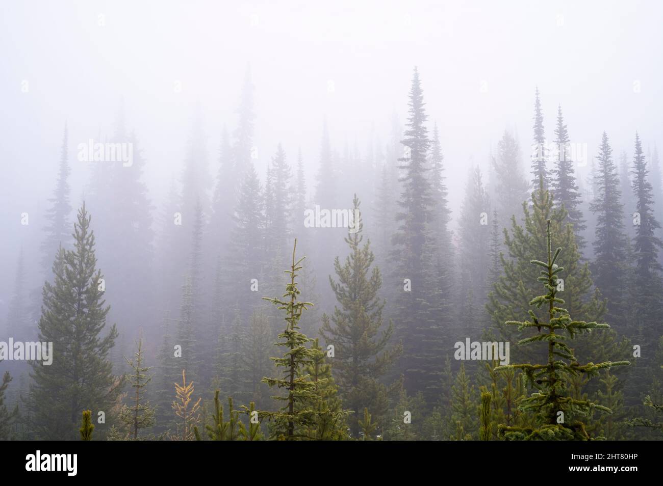 Colville national forest hi-res stock photography and images - Alamy