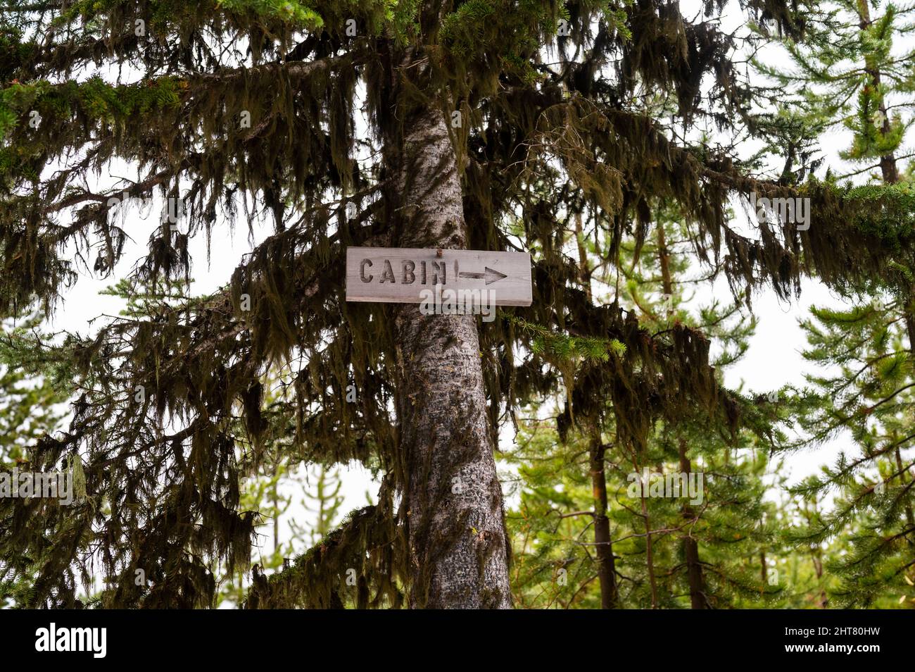 Cabin sign hi-res stock photography and images - Alamy