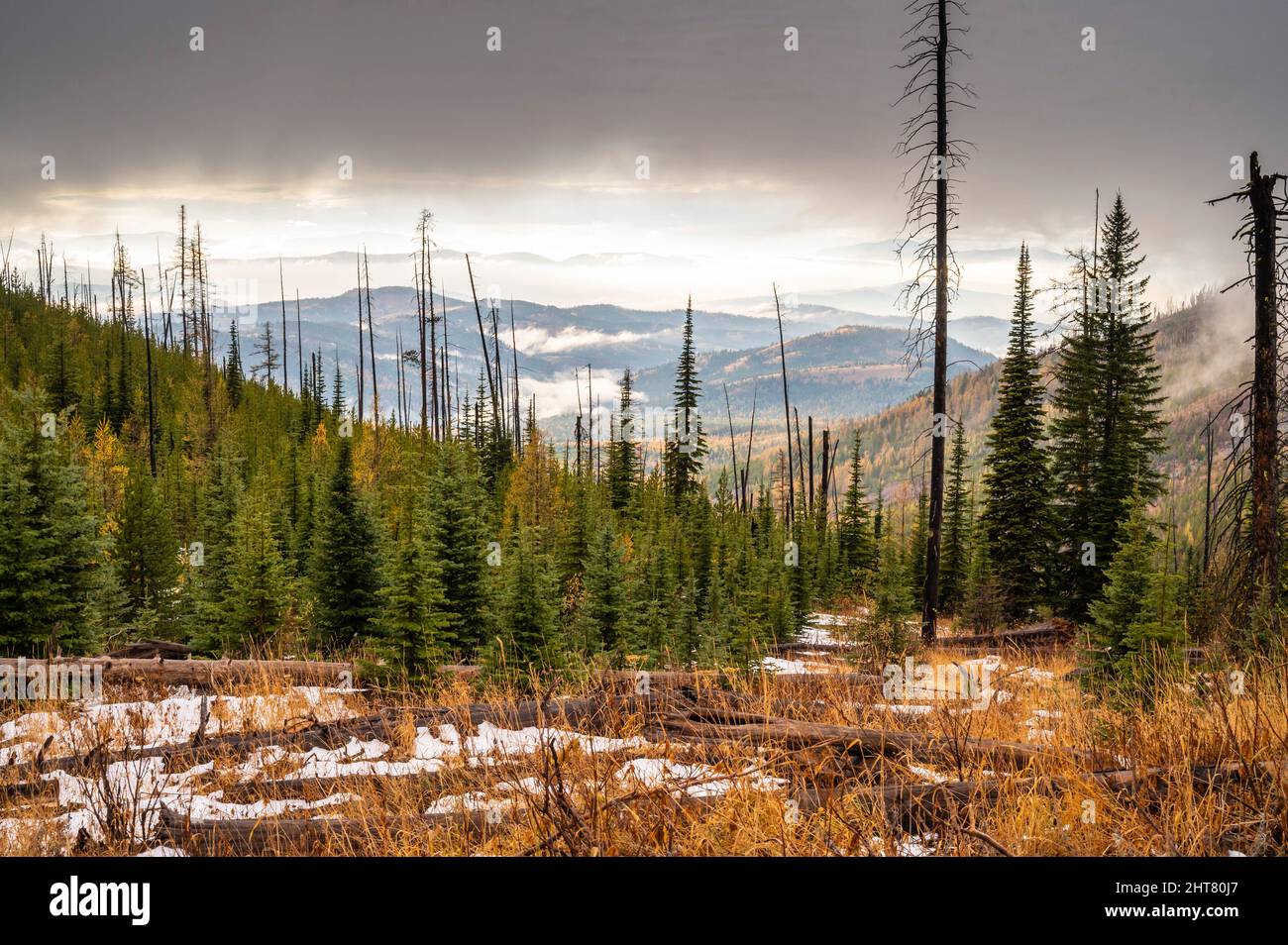 Colville hi-res stock photography and images - Alamy