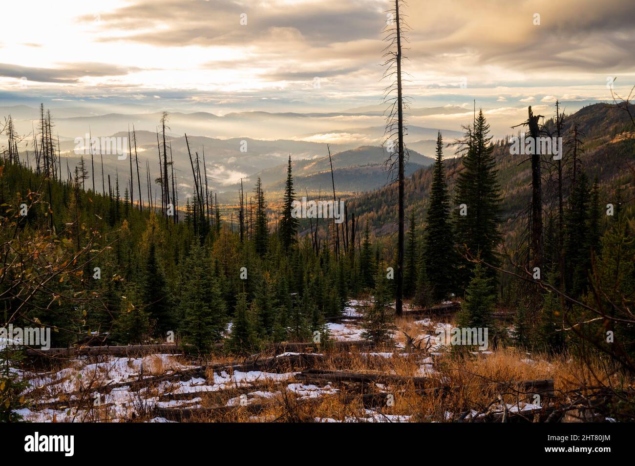 Colville national forest hi-res stock photography and images - Alamy