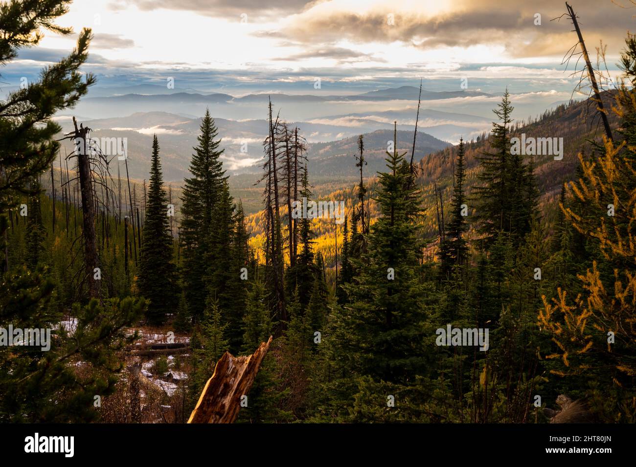 Colville hi-res stock photography and images - Alamy