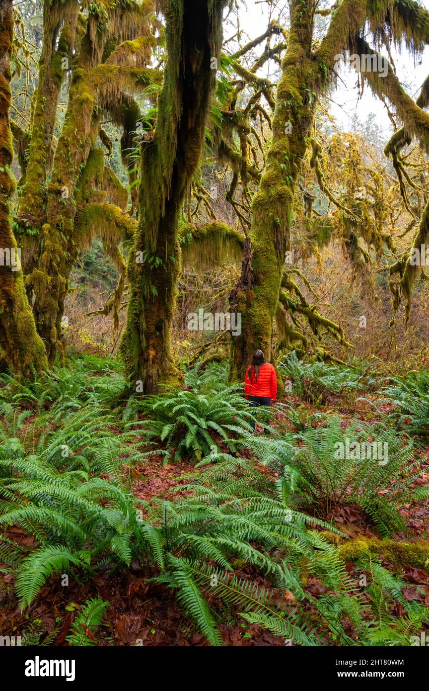 Female experience hi-res stock photography and images - Alamy