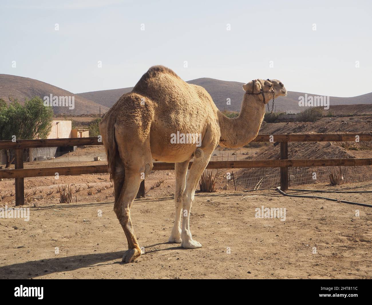Barrier of desert hi-res stock photography and images - Alamy