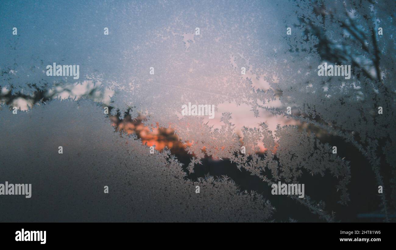 A horizontal background of a frozen window with beautiful snowflake ...