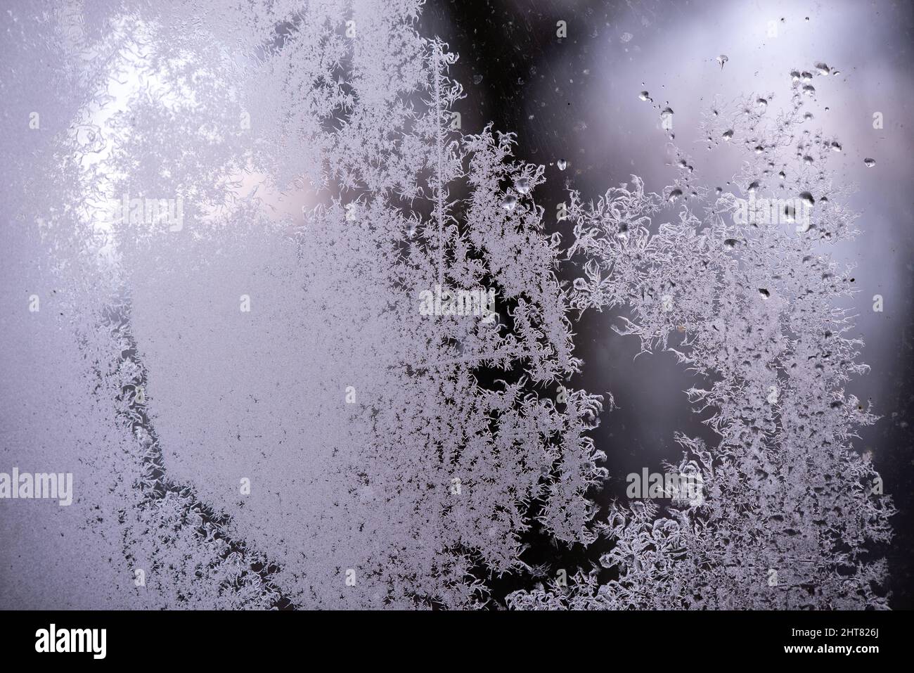 Horizontal background of a frozen window with beautiful snowflake ...