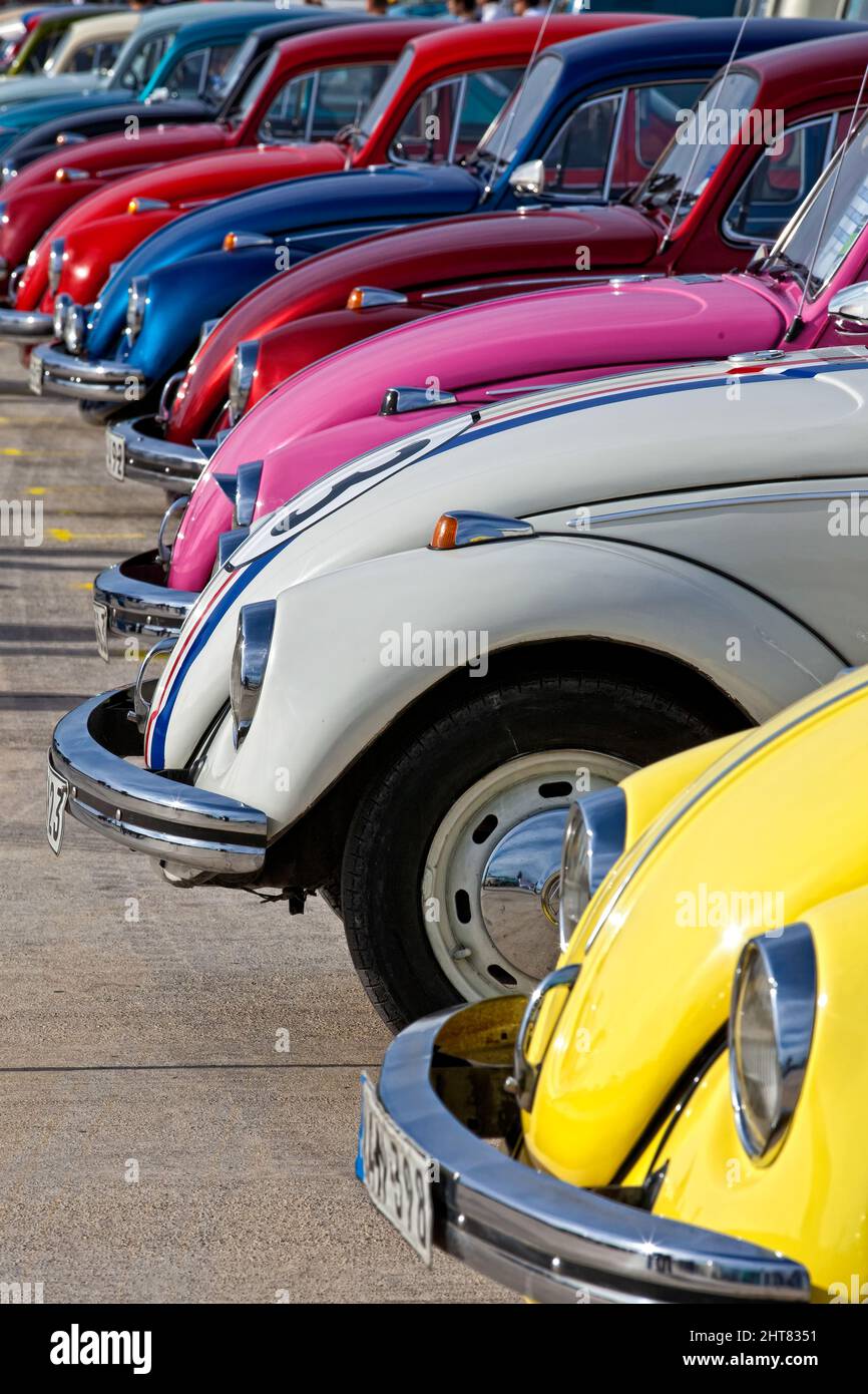 Colourful Classic VW Beetle Bug Cars Stock Photo - Alamy