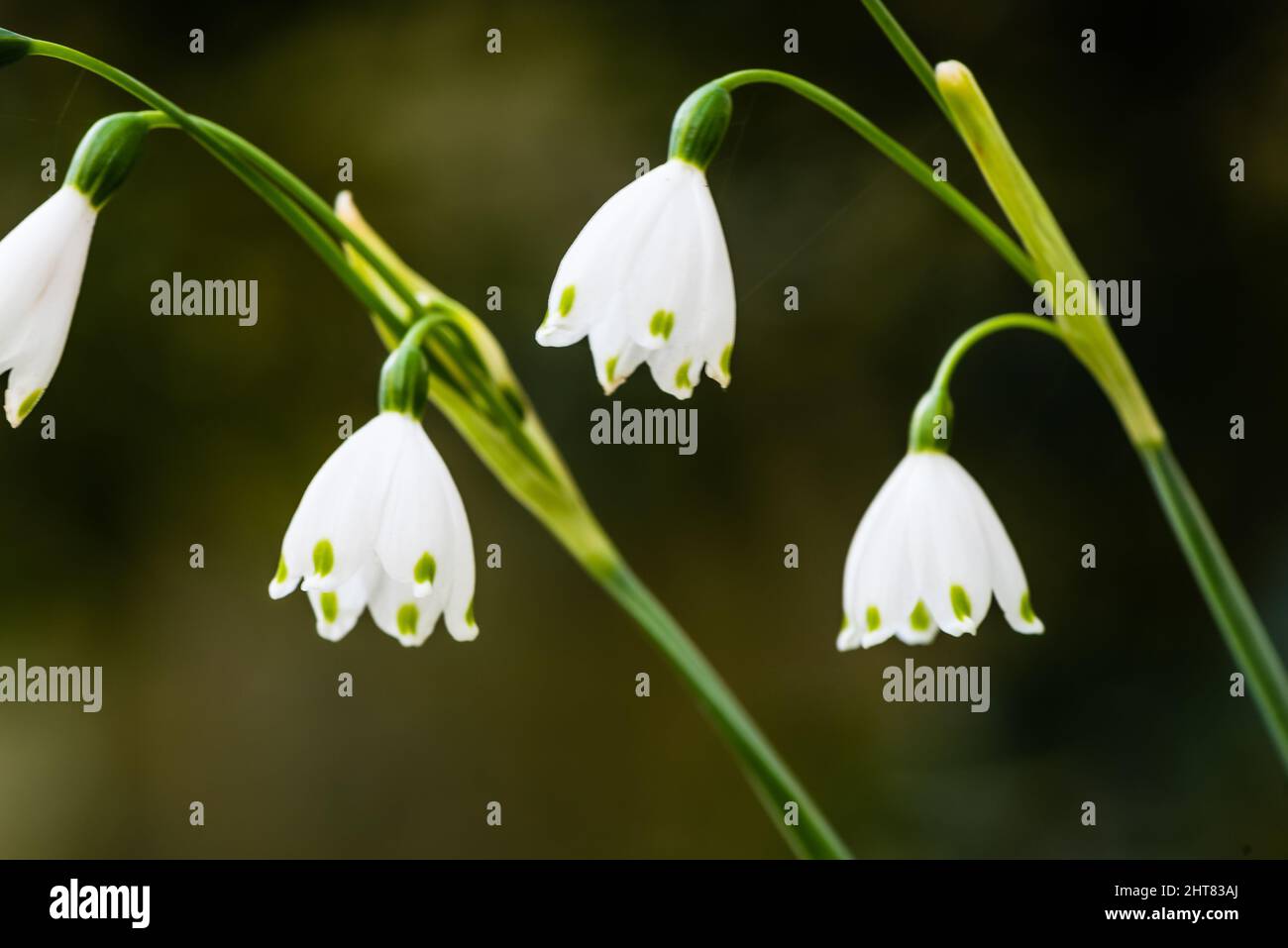 Private property gardens hi-res stock photography and images - Alamy