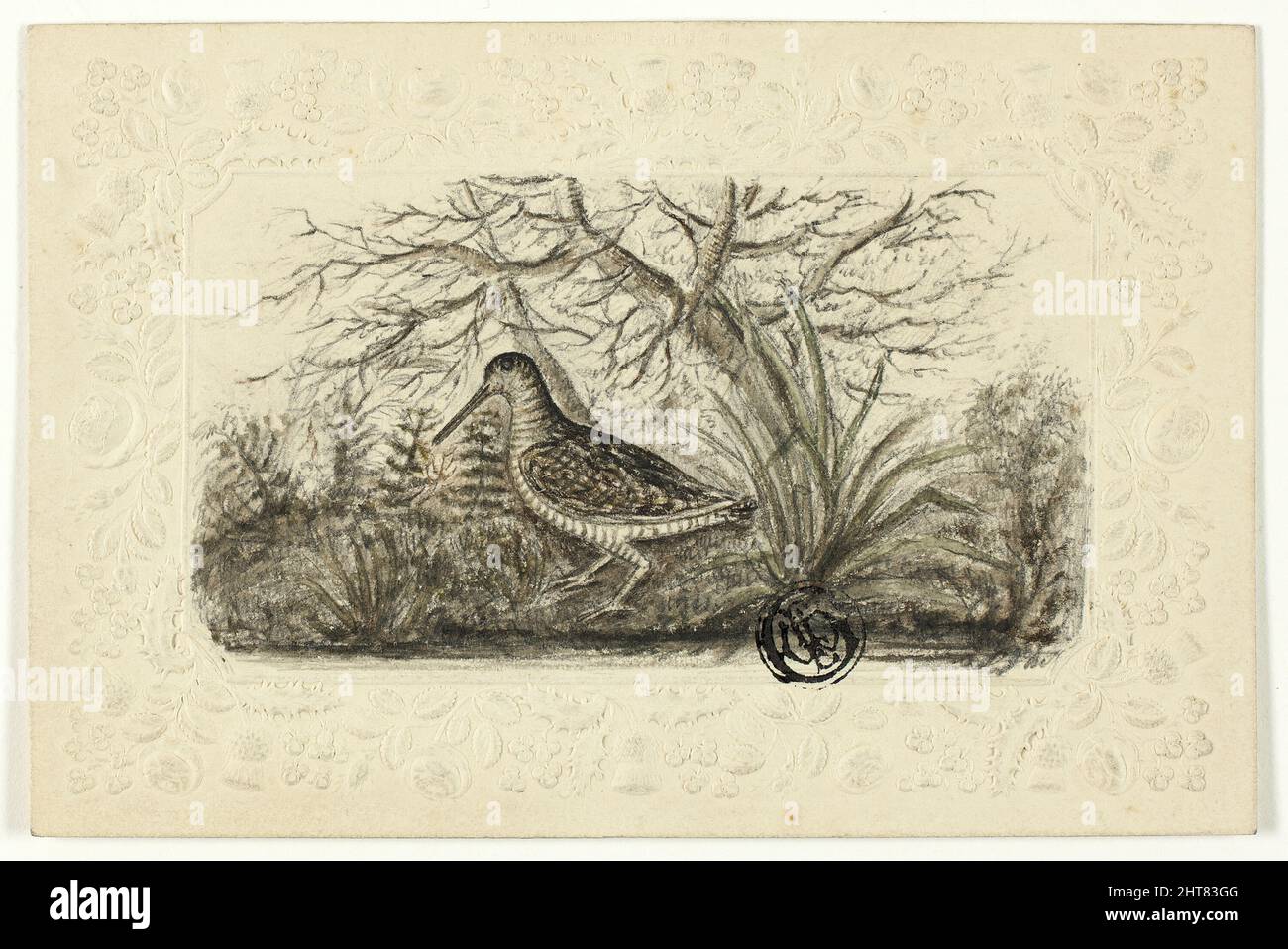 Victorian bird drawings hi-res stock photography and images - Alamy