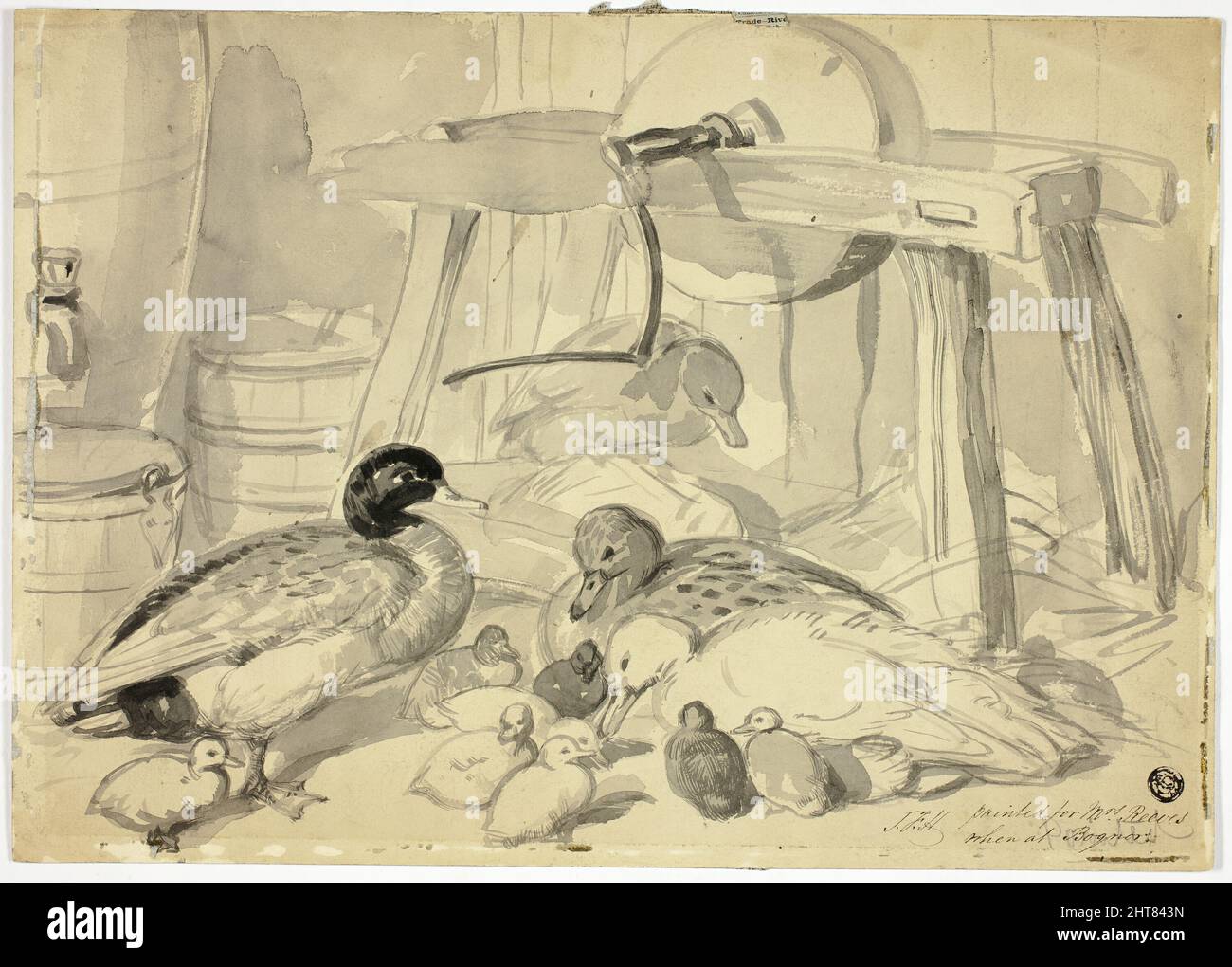 Victorian bird prints hi-res stock photography and images - Alamy