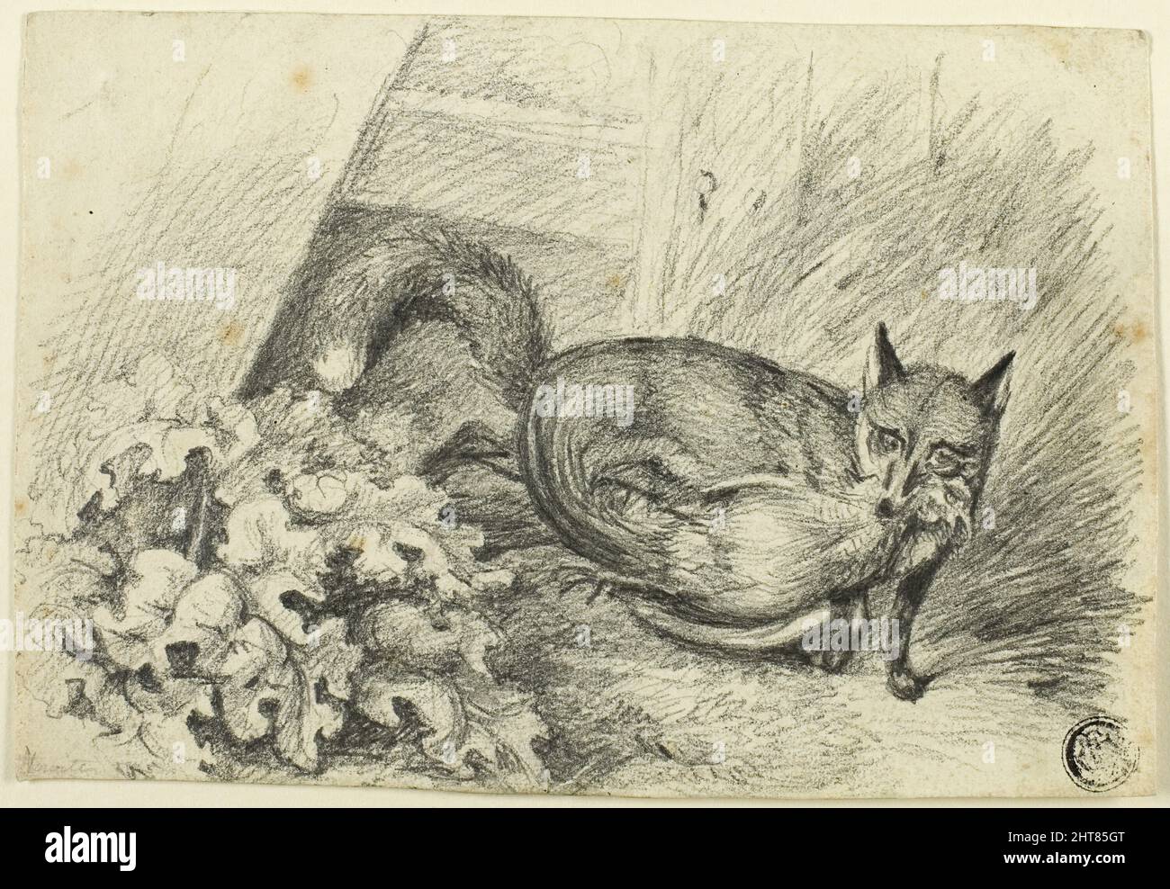 Fox Stealing a Cock, n.d Stock Photo - Alamy