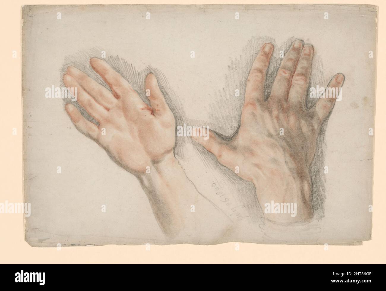 Two anatomy studies hi-res stock photography and images - Alamy