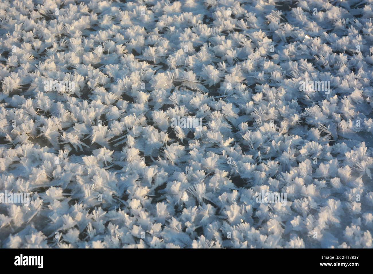 Beautiful effect - snow stars on ice. A pattern that forms only in ...