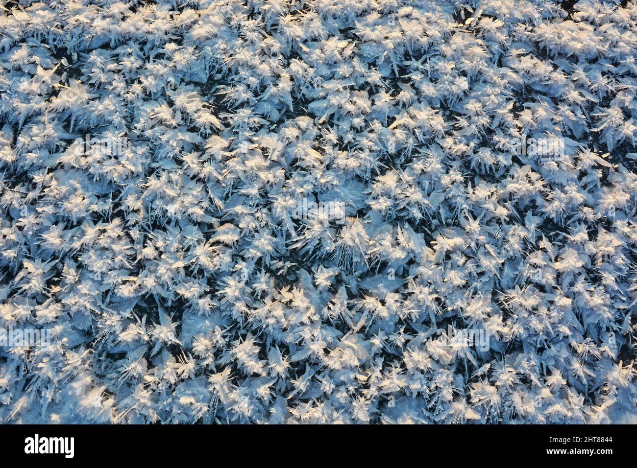 Beautiful effect - snow stars on ice. A pattern that forms only in ...