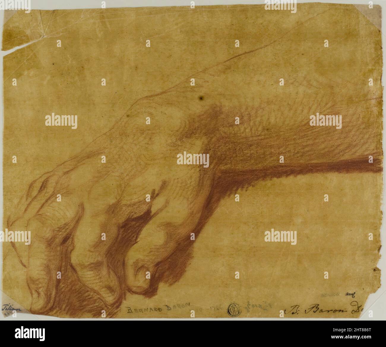 Hand anatomy historical drawings hi-res stock photography and images ...