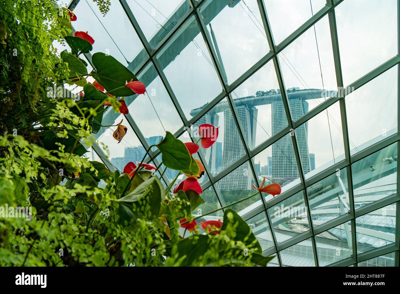 View from the windows of the Botanical Garden in Singapore, a touristic ...