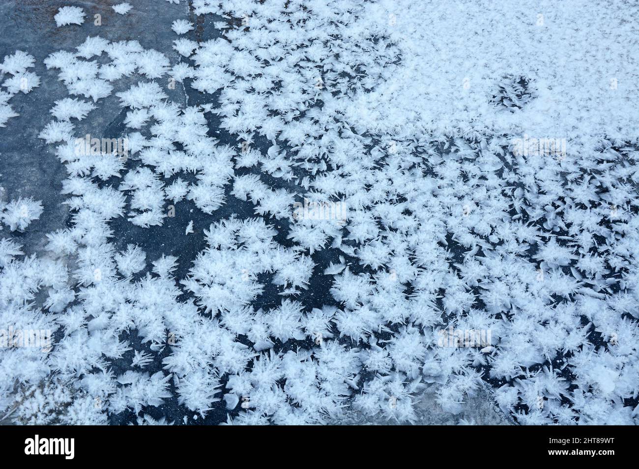 Beautiful effect - snow stars on ice. A pattern that forms only in ...
