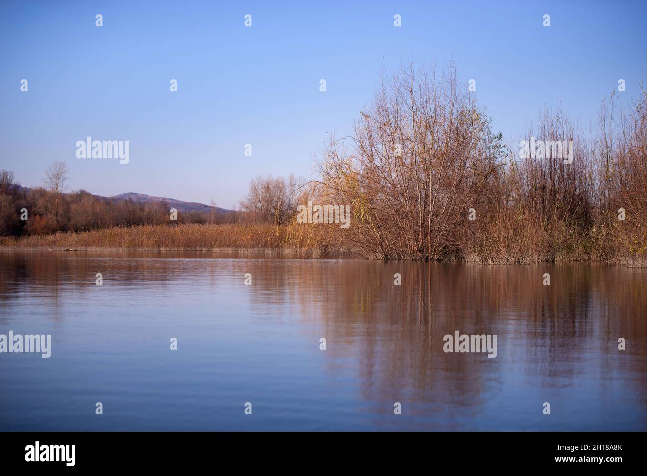 Landscape with a huge lake with reed and rush, rocky mountains and high ...