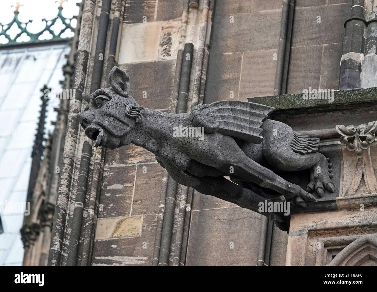 Gargoyle at Cologne Cathedral, Germany. A sort of demon or devil Stock ...