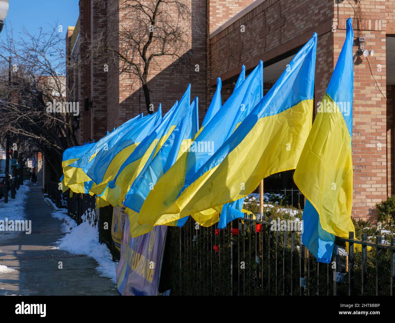 Ukrainian flags line Chicago Avenue outside the Ukrainian Cultural ...