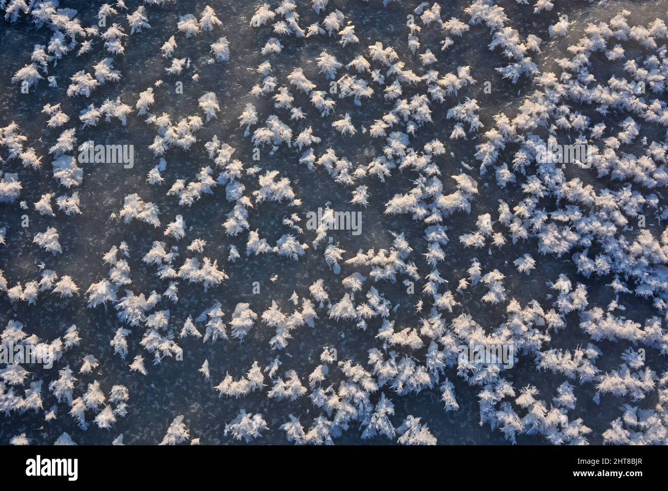 Beautiful effect - snow stars on ice. A pattern that forms only in ...