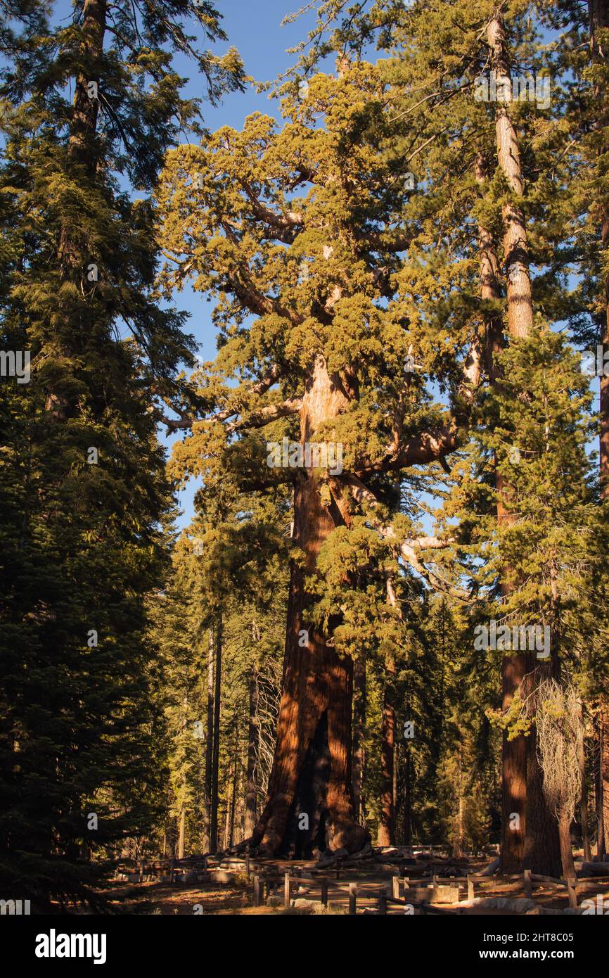 Autumnal natural landscape from Yosemite National Park, California ...