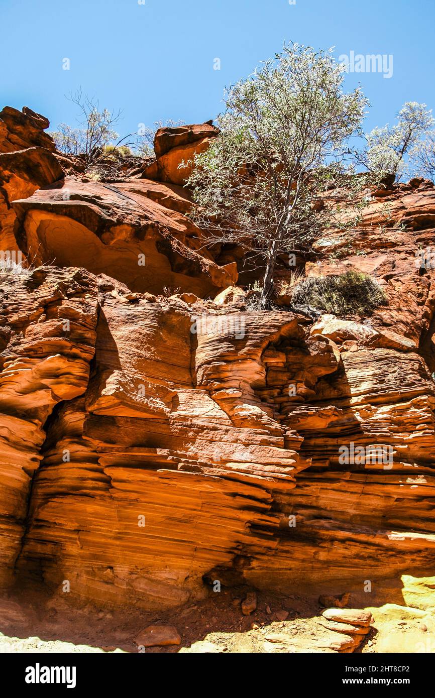Vertical shot of a rock formation in the Northern Territory of ...