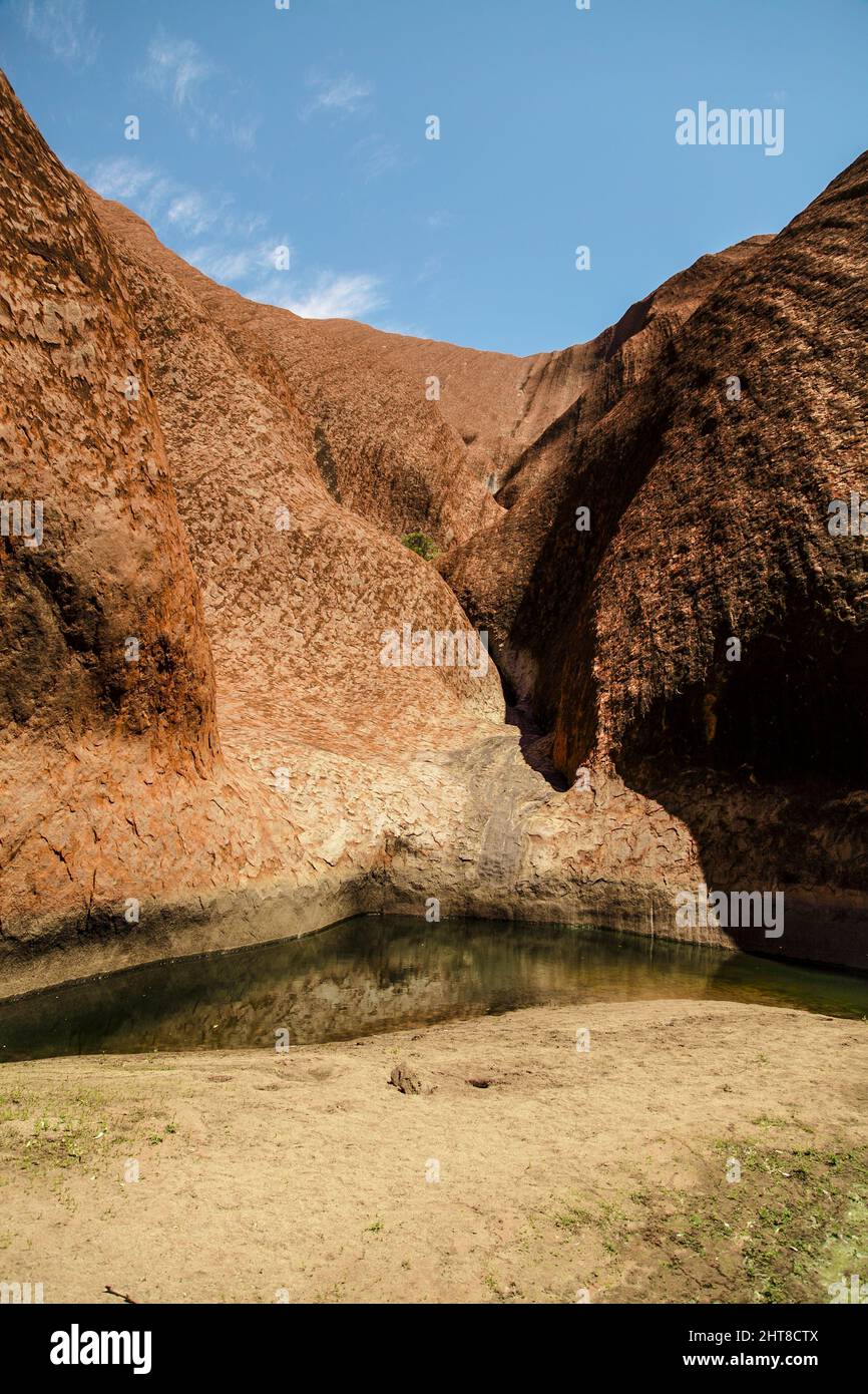 Vertical shot of a rock pool with the Uluru rock on the background ...