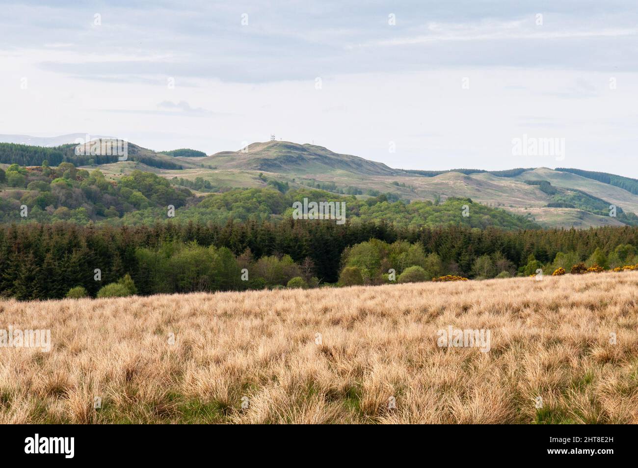Plantation forestry and pastures cover the slopes of Cruim Leacainn ...