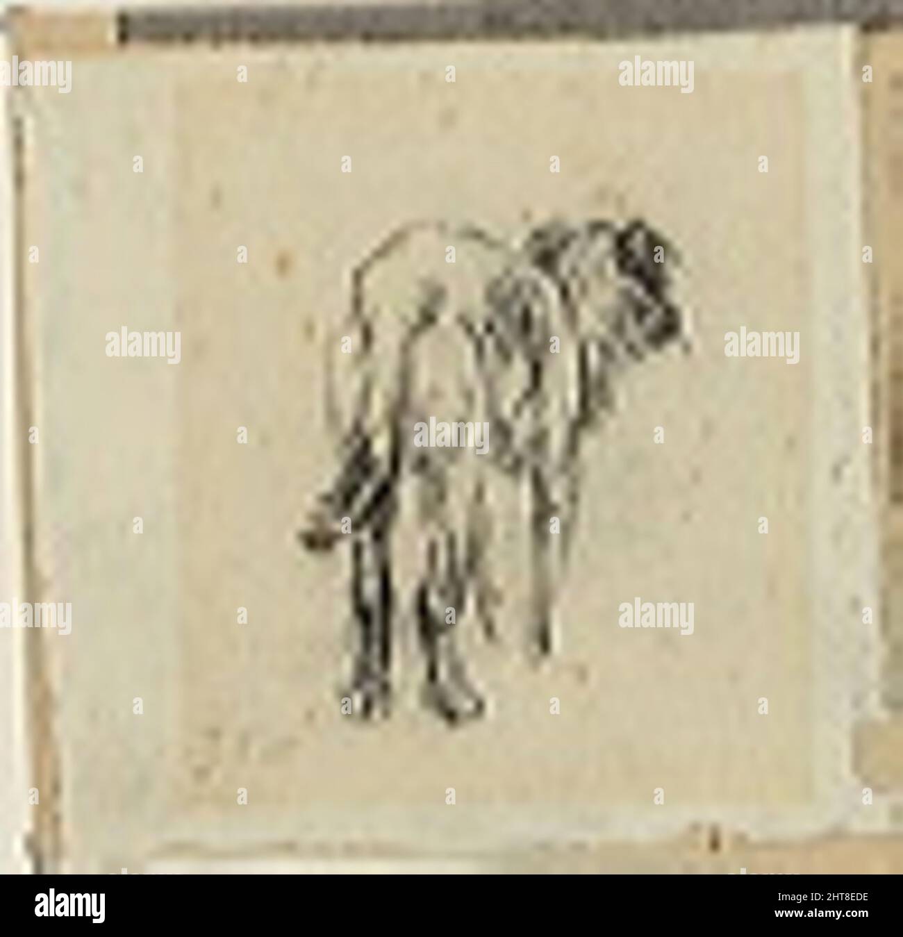 Study of a Dog, n.d Stock Photo - Alamy