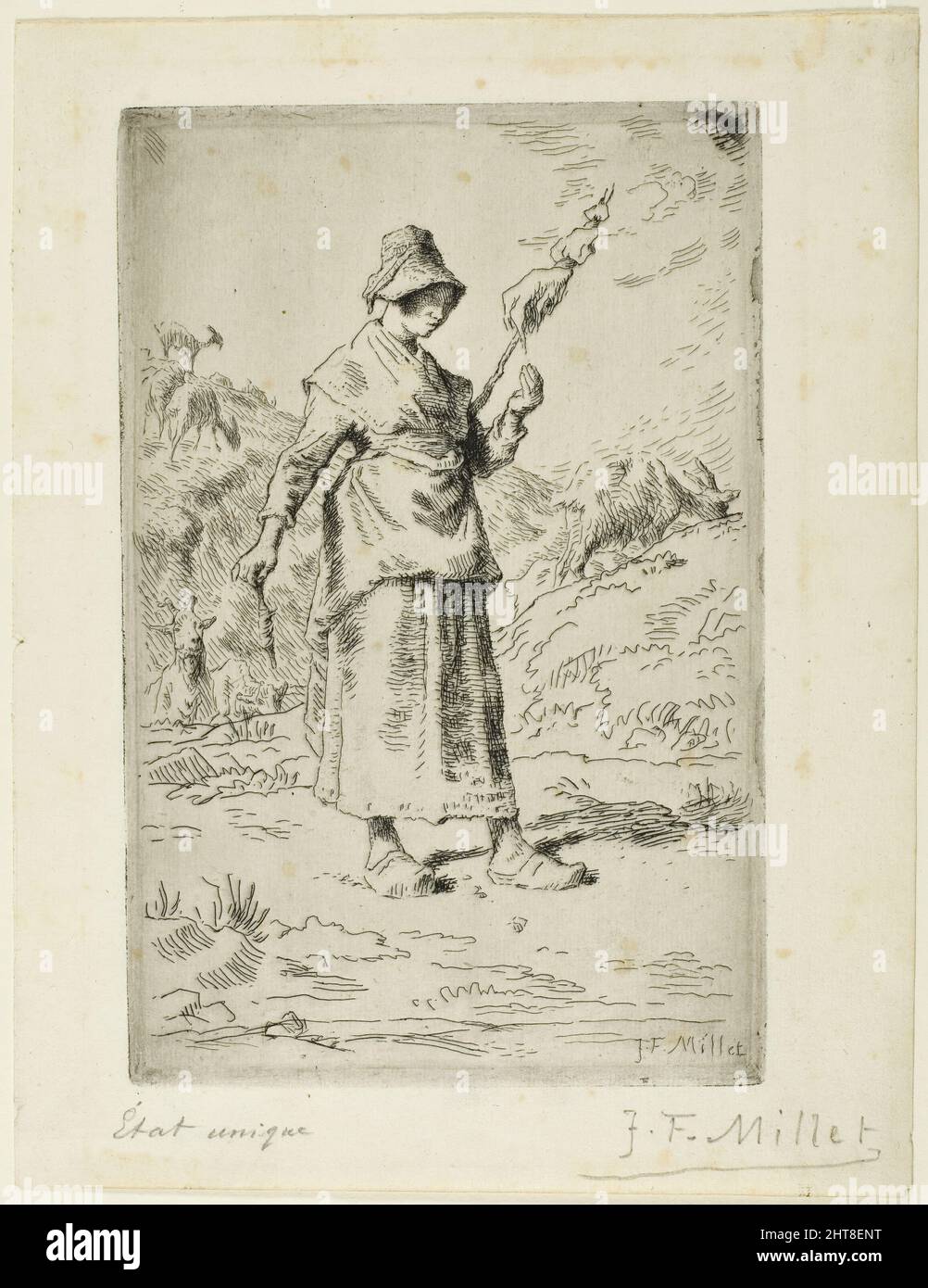 Jenny spinner hi-res stock photography and images - Alamy