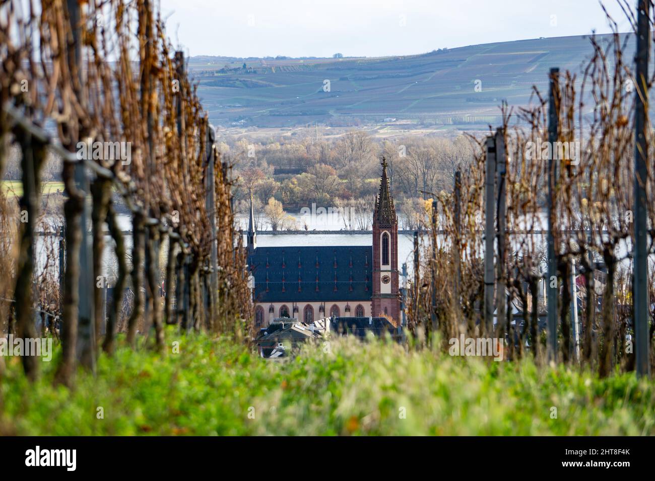 Church on vineyard with river Stock Photo - Alamy