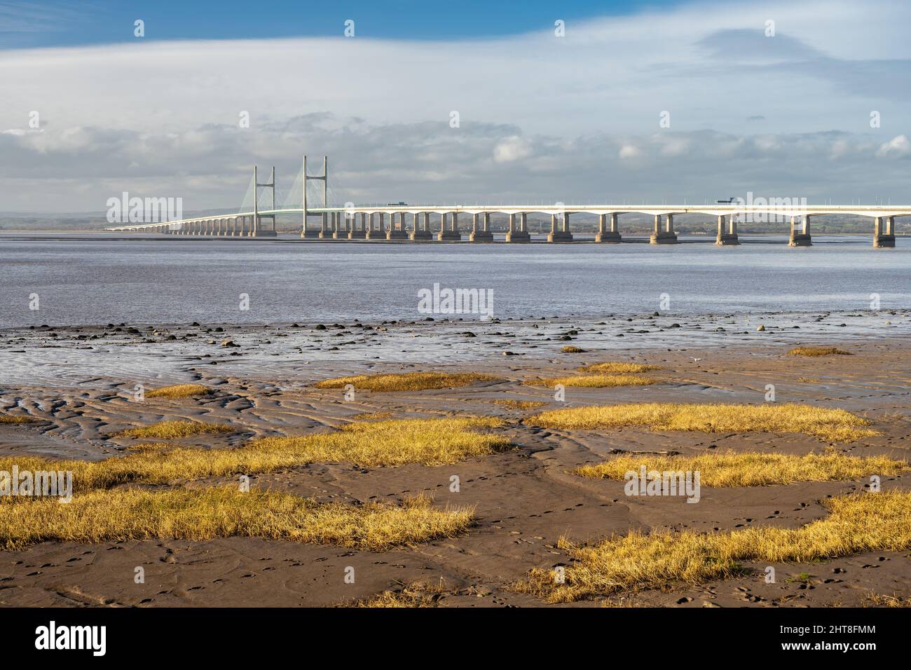 Grass grows on mud flats on the shore of the Bristol Channel at Severn ...