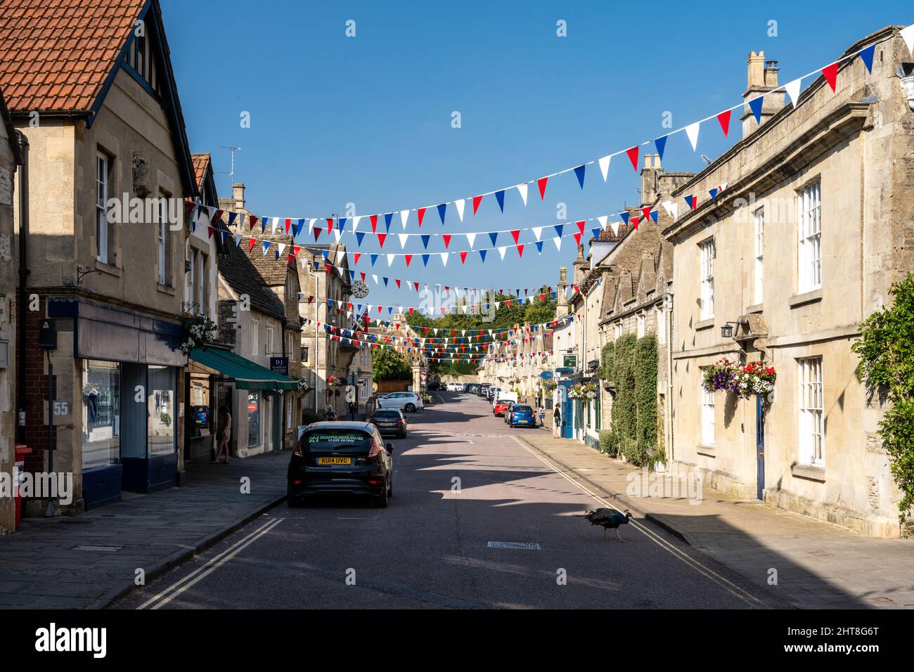A peacock crosses the road outside the traditional shops and houses of ...