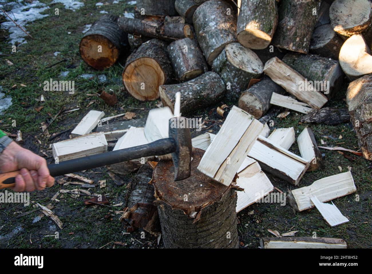 Chopping firewood with an ax Stock Photo - Alamy