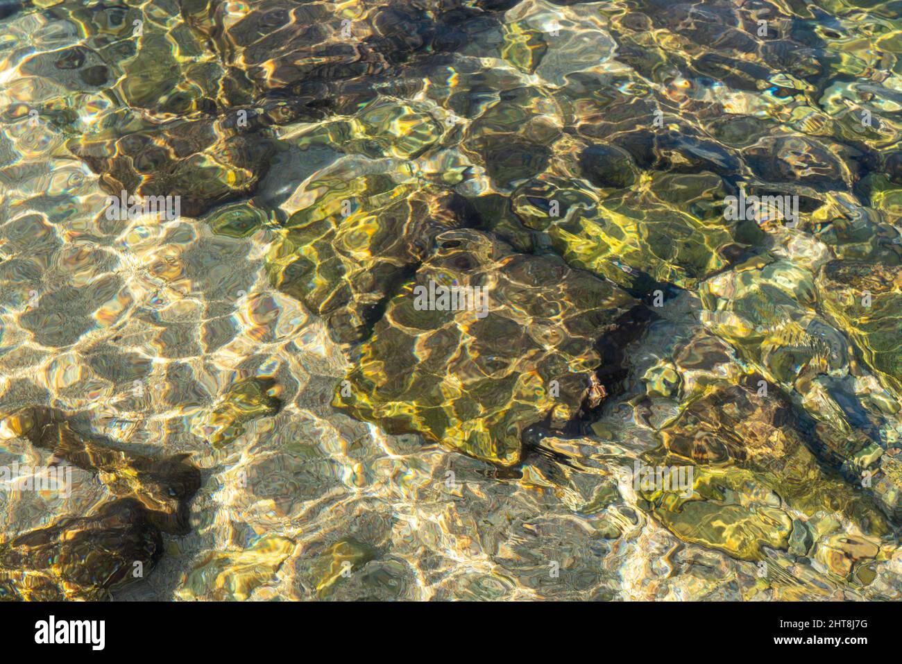 Top view of rocks on the seabed seen through the crystal clear seawater ...